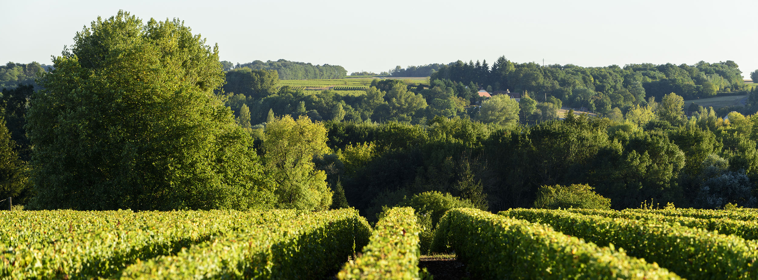 L'HISTOIRE - Vins de Touraine-Oisly